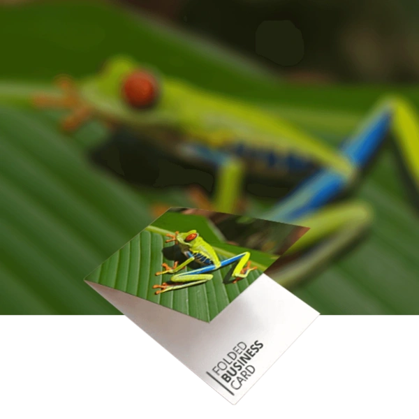 Folded Business Cards | Print Fusion